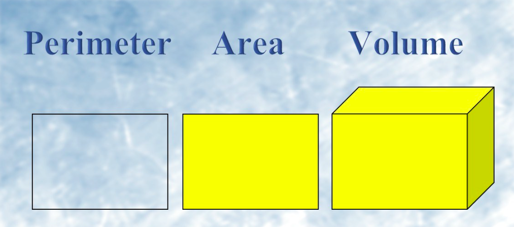 Perimeter Area And Volume Worksheet For Class 5 MyCBSEguide